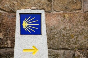 The Symbolism of the Scallop Shell on the Camino - Wandering Ponds